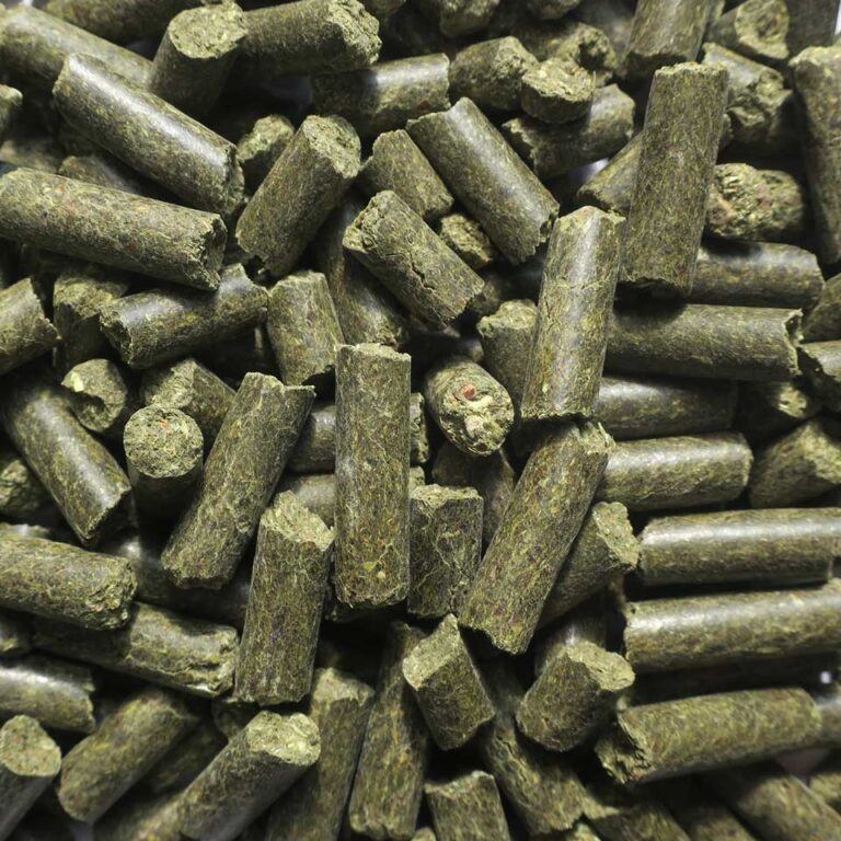 Raufutter Bedeutung für Pferde | Eohippos Premium Horse Feed